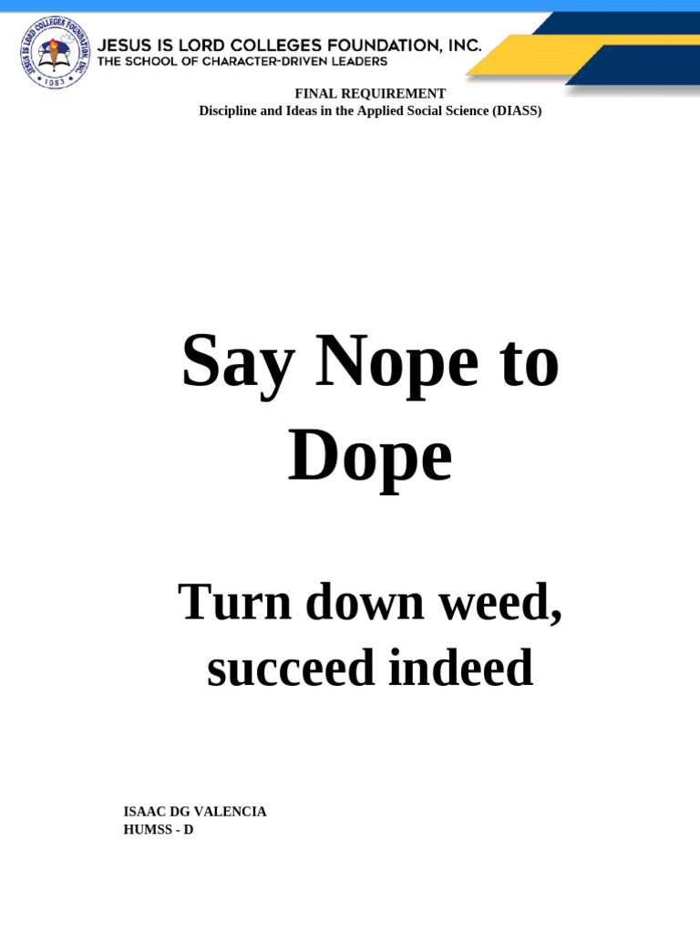 DIY SW Program Template 2025 | PDF