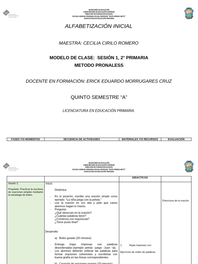 Alfabetización Inicial | PDF | Maestros | Educación primaria