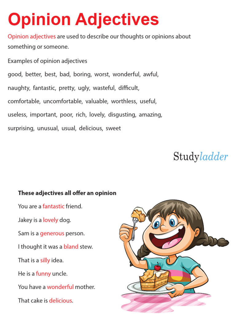 Studyladder+ +Opinion+Adjectives | PDF