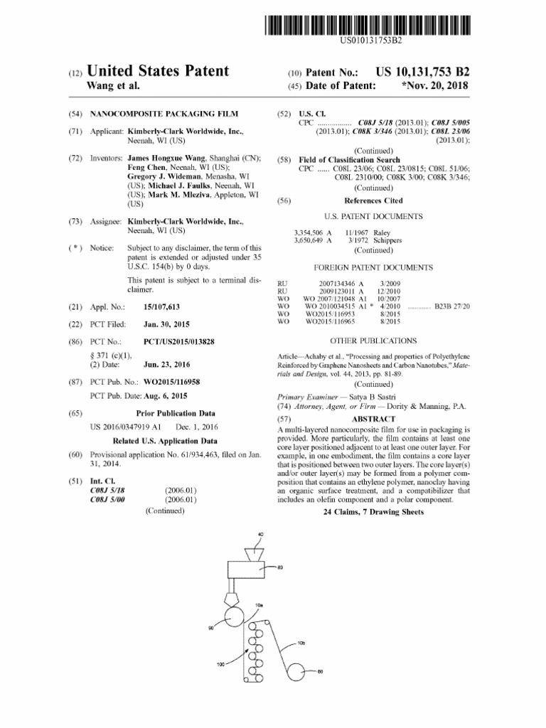 Nanocomposite Packaging Film Us00000010131753b220181120 | PDF ...