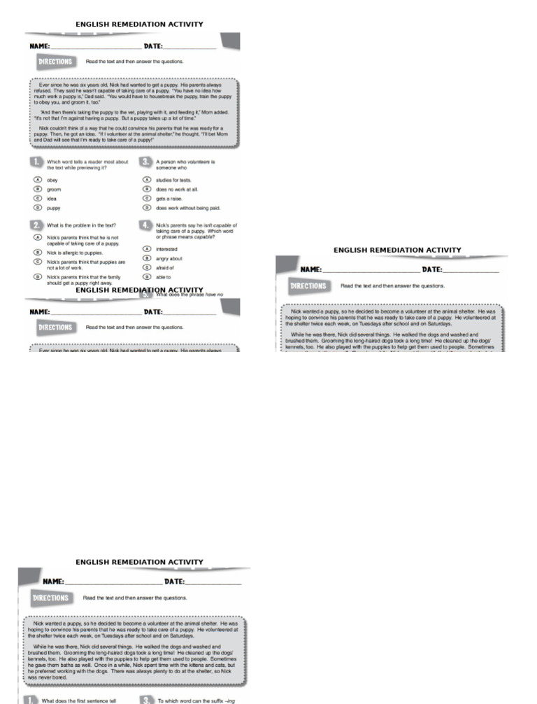 English Reading Remediation Activity | PDF