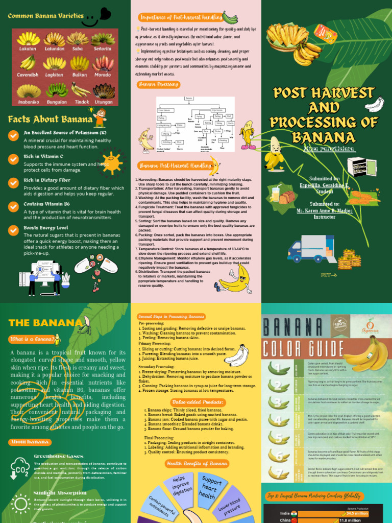 Green Illustrative Climate Change Global Warming Trifold Brochure ...