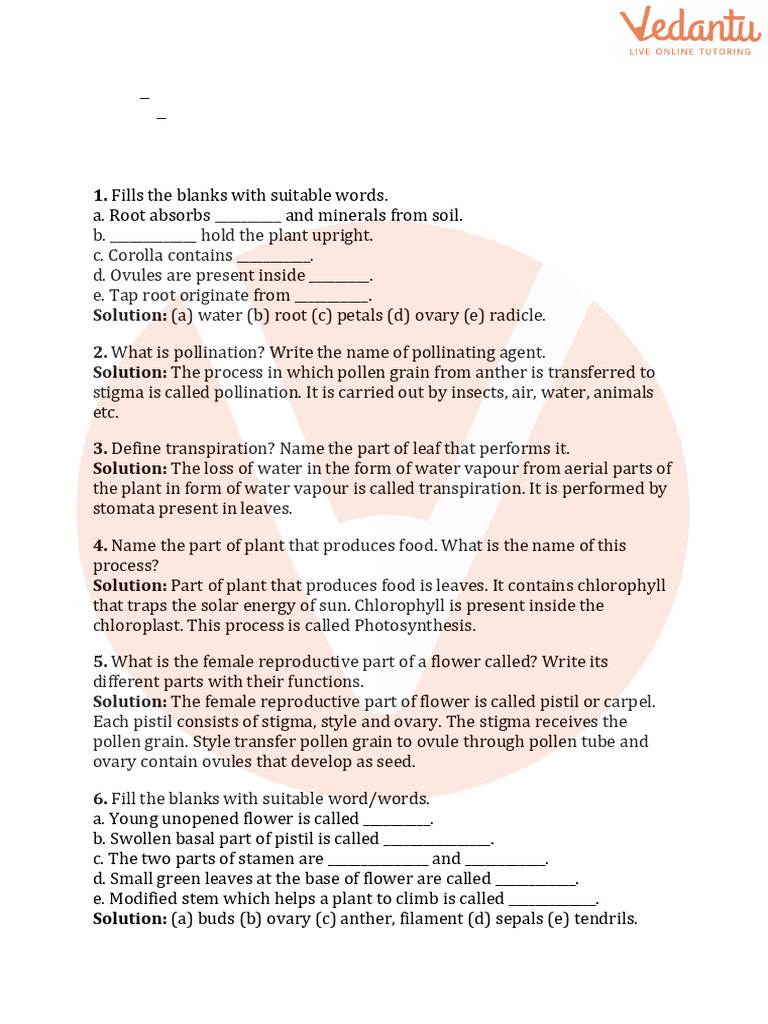 CBSE Class 6 Science Getting To Know Plants Worksheets With Answers ...