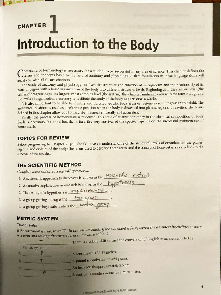 C1 Body | PDF