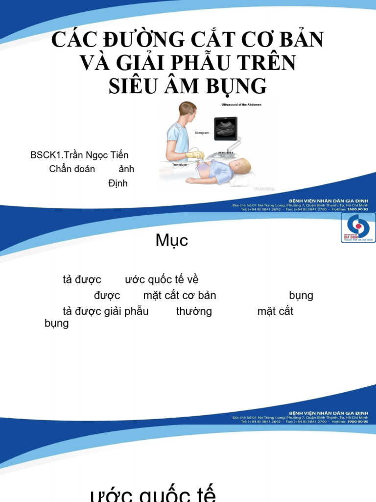 Cac Duong Cat Co Ban Va Giai Phau SA Bung | PDF