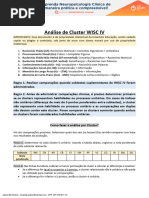 Protocolo de Registro Wisc IV | PDF