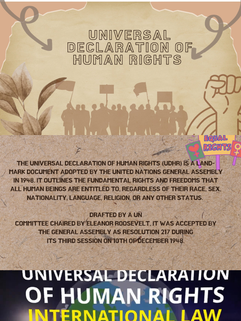 Universal Declaration of Human Rights | PDF | Human Rights | Government