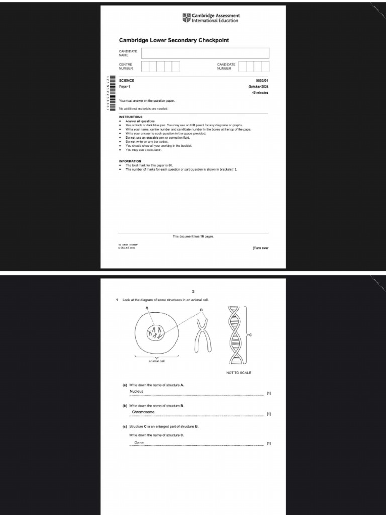 Science Revision Worksheet | PDF
