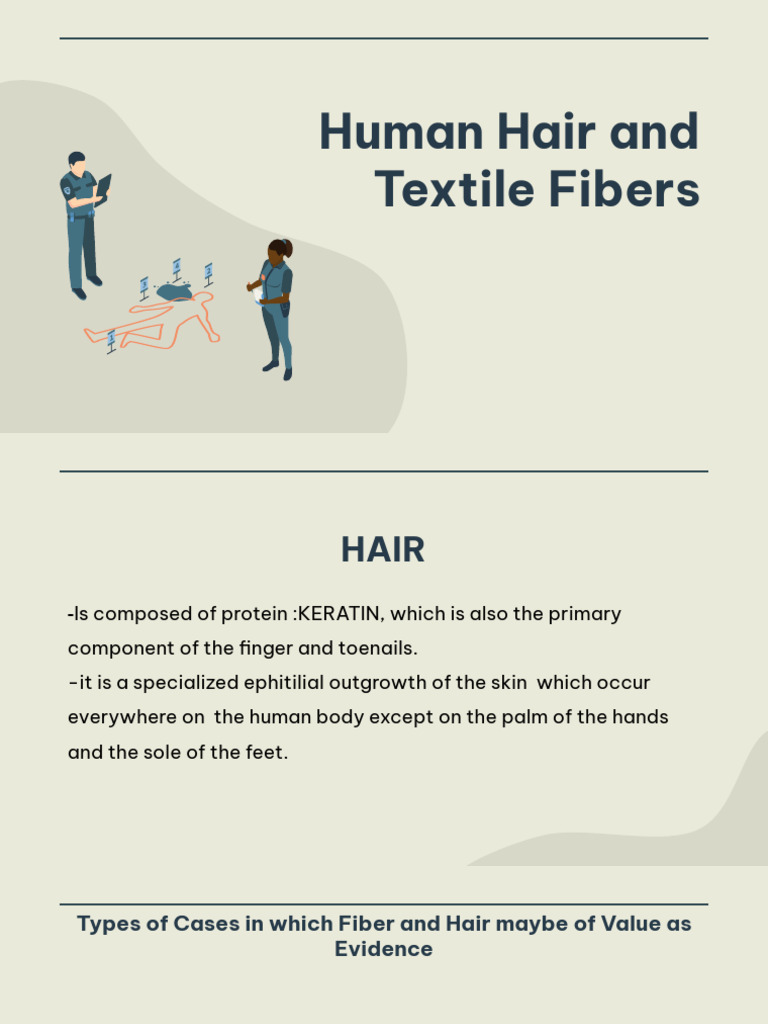 human-hair-and-textile-fibers.pptx | PDF | Hair | Textiles