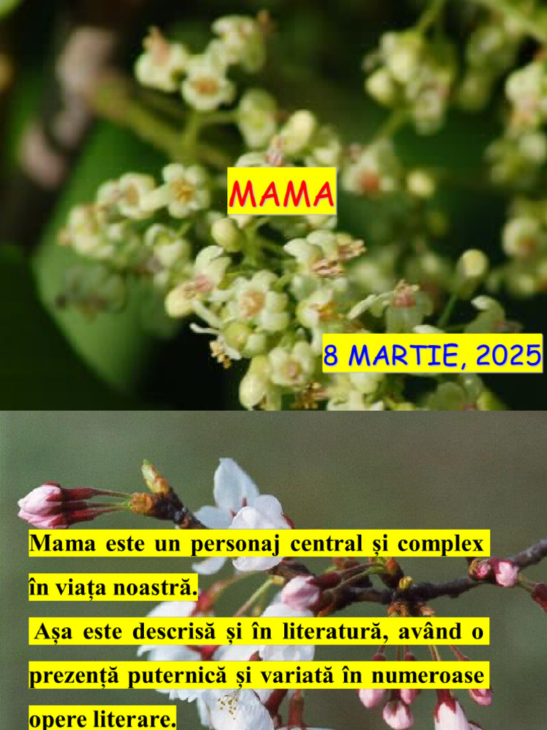Citate Despre Mama | PDF