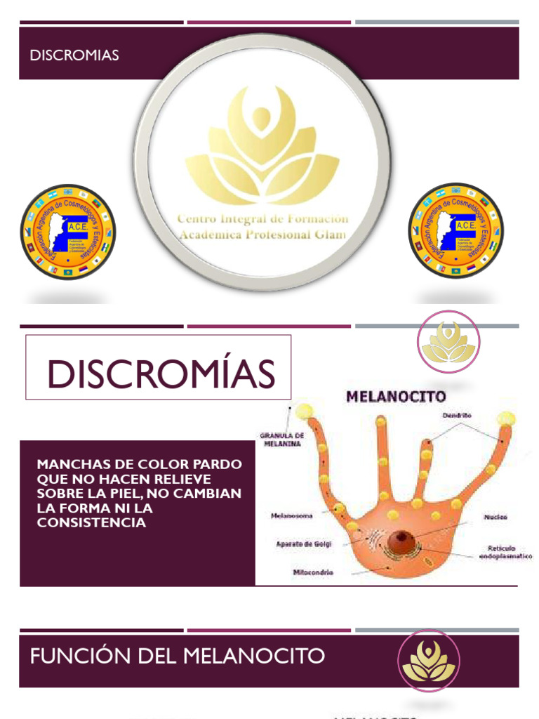 DISCROMIAS ENVEJECIMIENTO CUTANETO GLAM | PDF | Ph | Proteínas