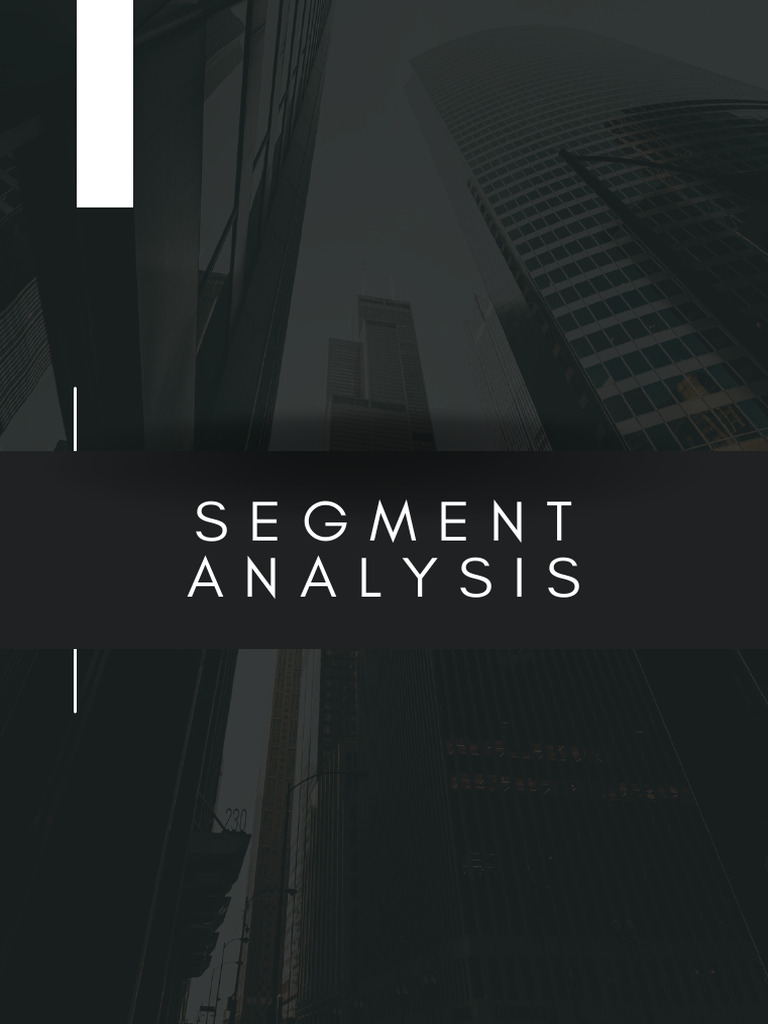 Segment Analysis | PDF