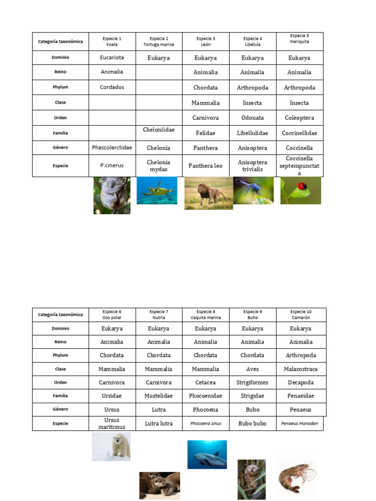 Clasificación de Organismos | PDF | Zoología | Organismos