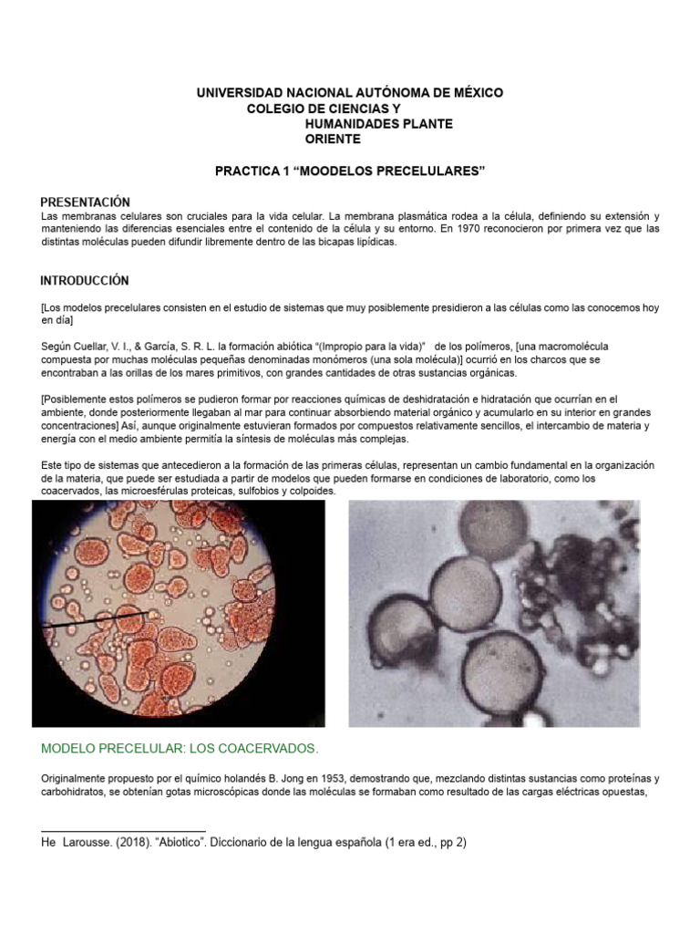 Modelos Precelulares en Biología | PDF | Biología Celular) | Proteínas