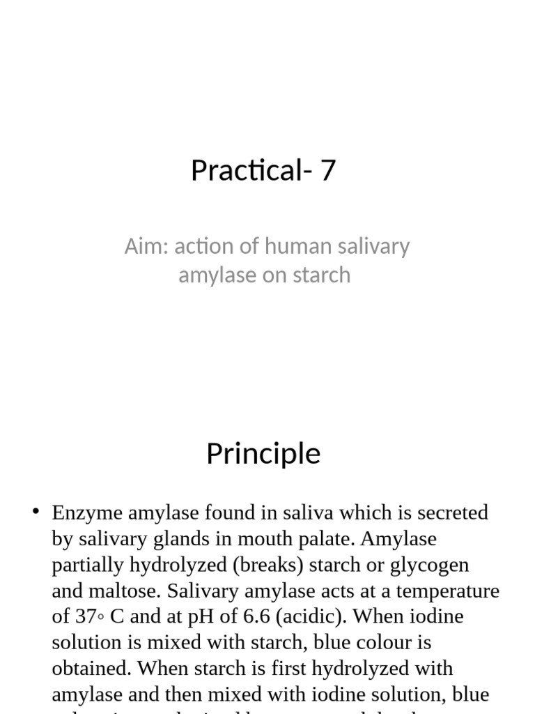 Zoology Major 1 and MDC Practical 7 Salivary Amylase | PDF