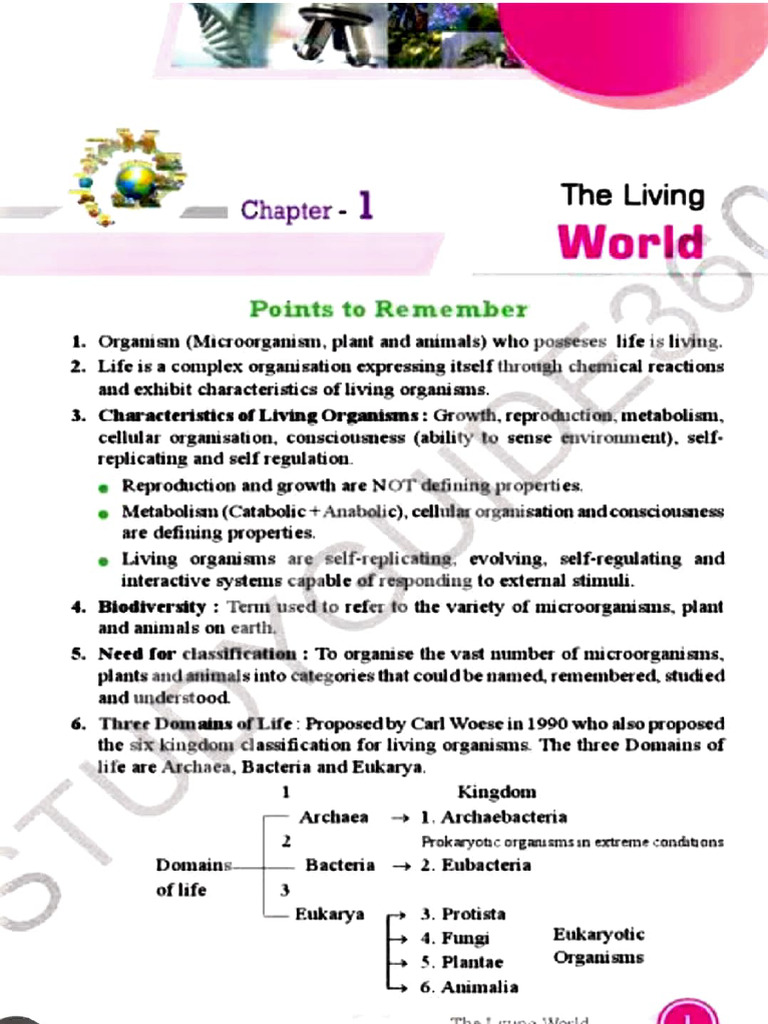 Living World | PDF