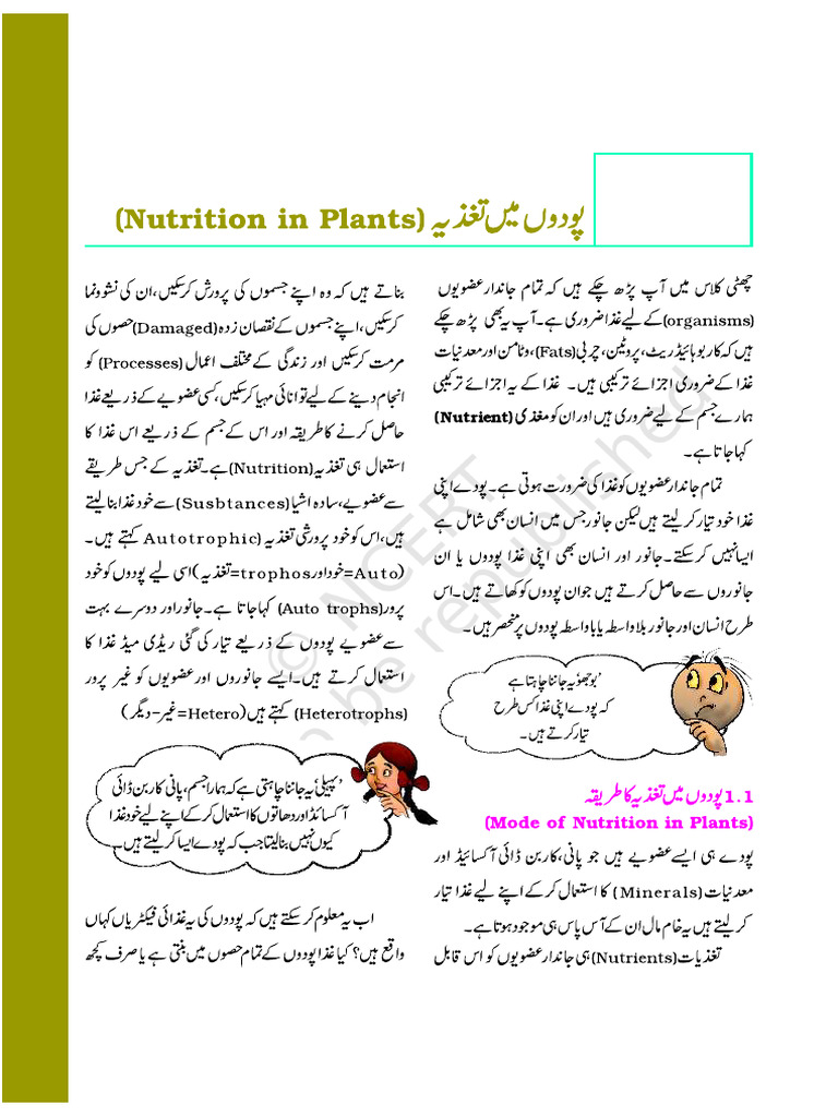 HR Ns 0 EV4 ZF S0 SHs LFNVD | PDF