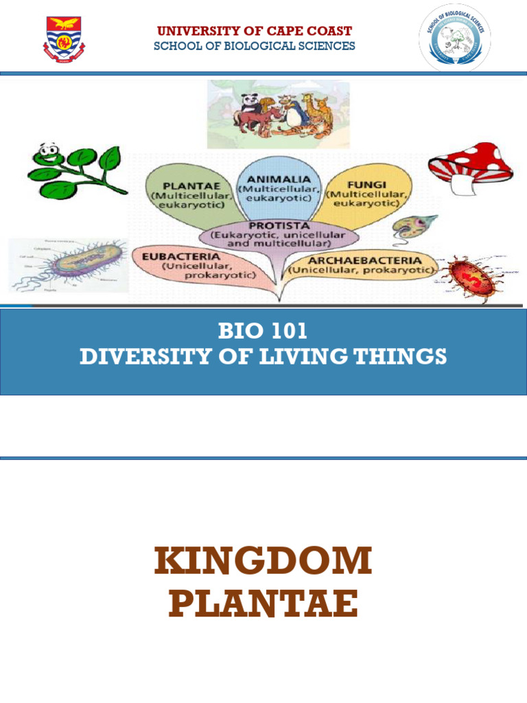 Kingdom Plantae For Students | PDF | Flowers | Petal