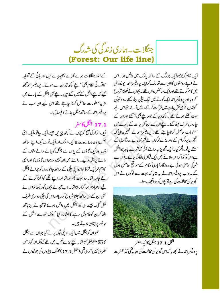 Selfstudys Com File | PDF