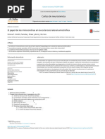 Inserto Spinreact | PDF | Colesterol | Glucosa