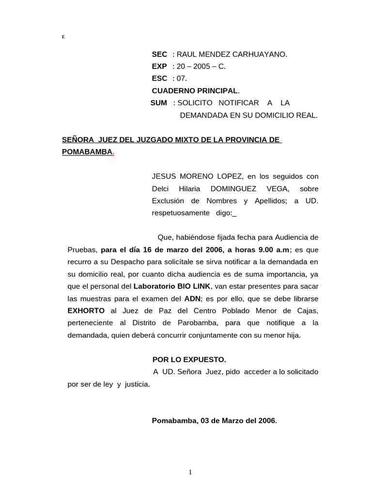 Solicitud de Notificación Judicial en Caso de ADN | PDF