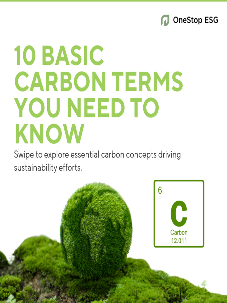 Essential Carbon Terms for Sustainability | PDF