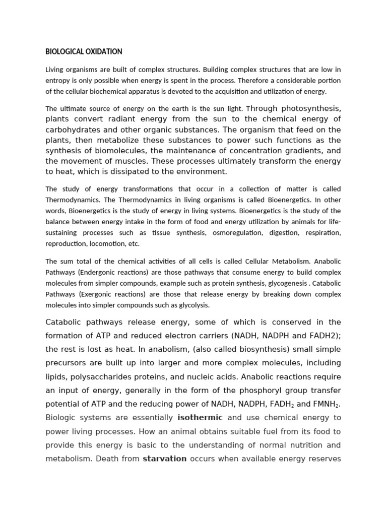 BCH 312, Bioenergetics Note-1 | PDF | Electron Transport Chain ...