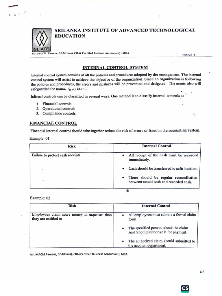Internal Control System | PDF