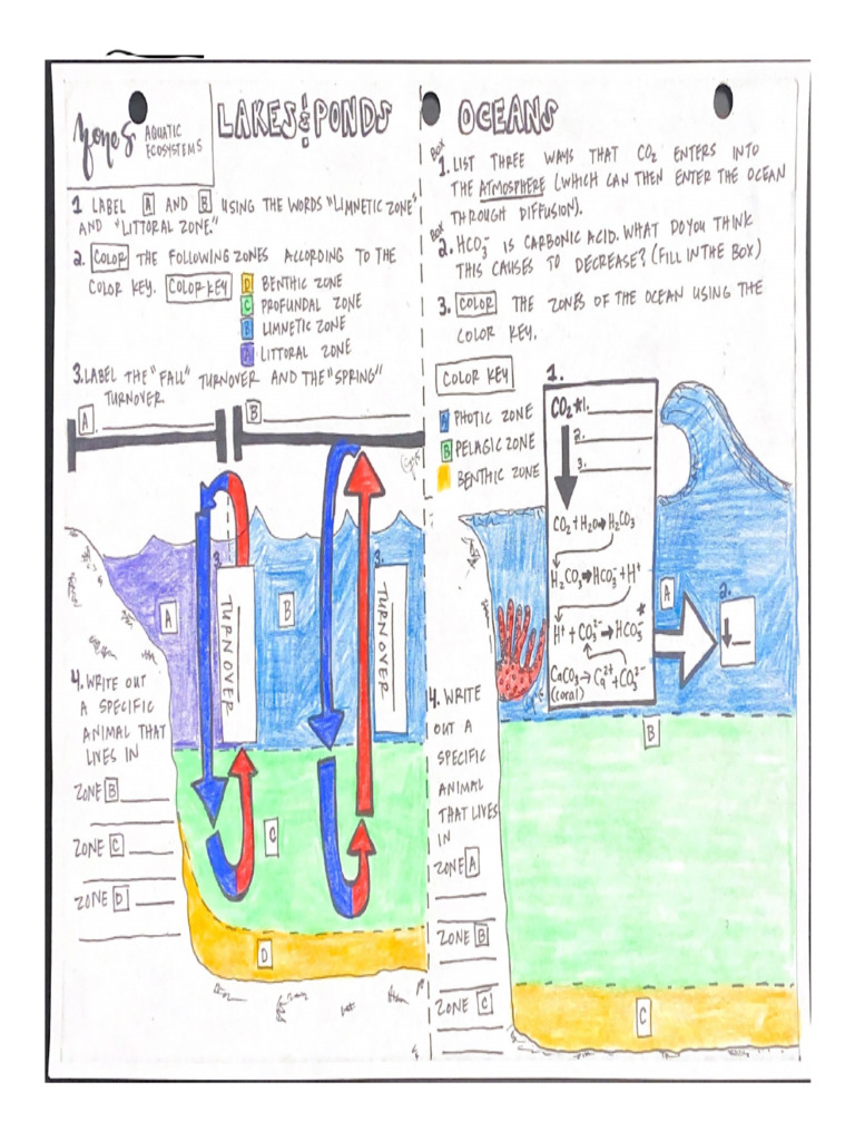 Lakes, Ponds, Oceans | PDF