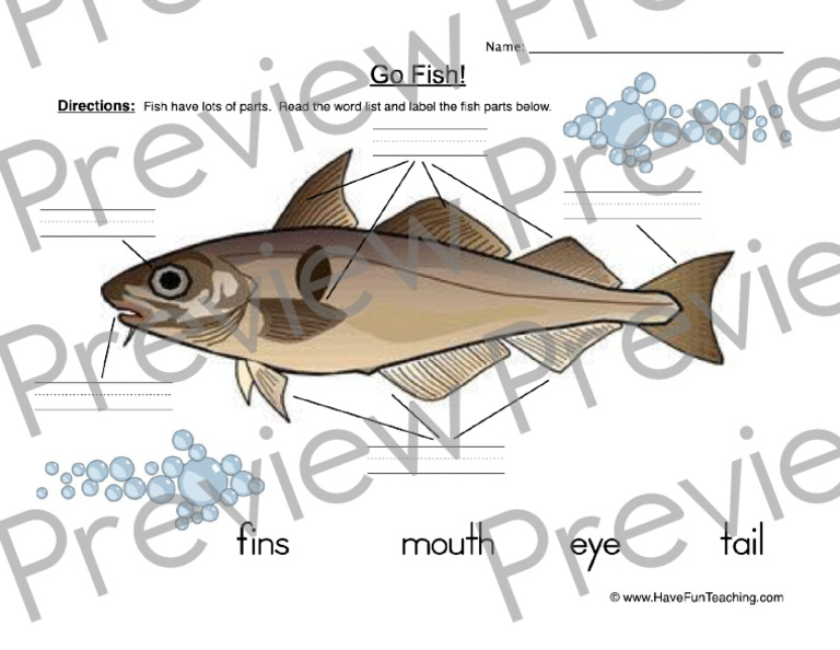 Fish Parts Worksheet 1 Preview | PDF