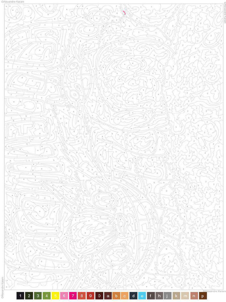 Coloriage PDF | PDF