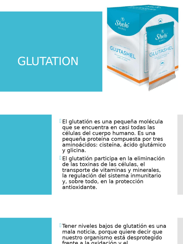 GLUTASHEL | PDF | Glutatión | Antioxidante