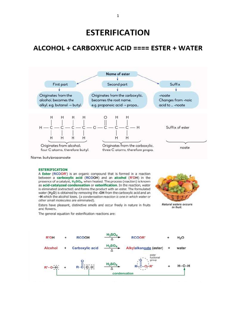 ESTERIFICATION 2020 | PDF | Ester | Methanol