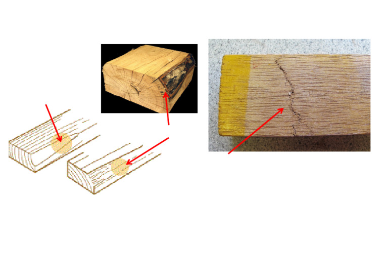 1.1.4.2 Timber Defects - Felling Milling | PDF