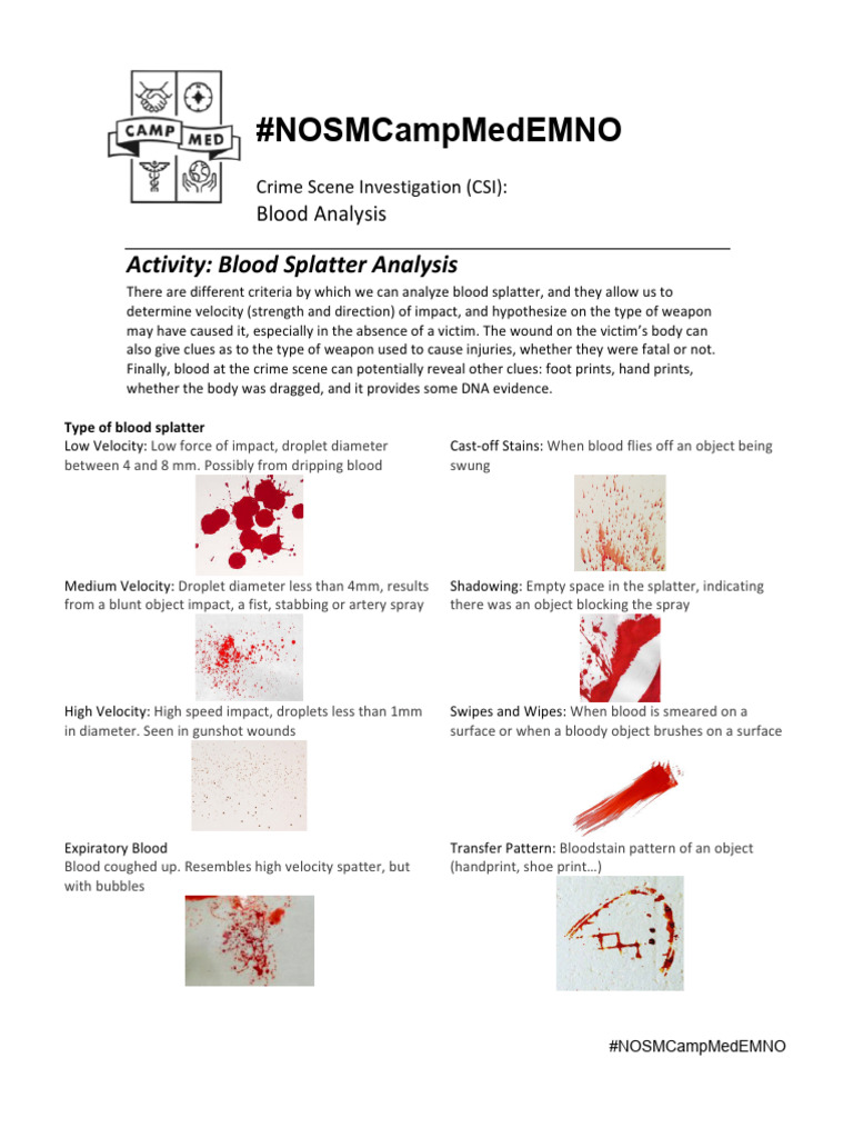 CSI-Blood-Analysis-Handout (1) | PDF | Blood Type | Anatomy