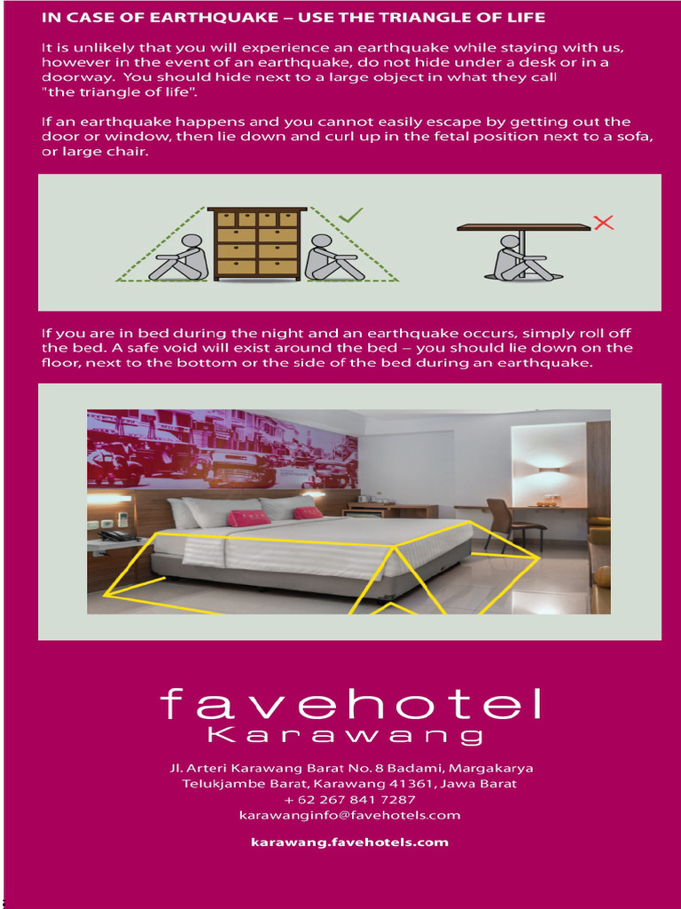 Triangle of Life | PDF