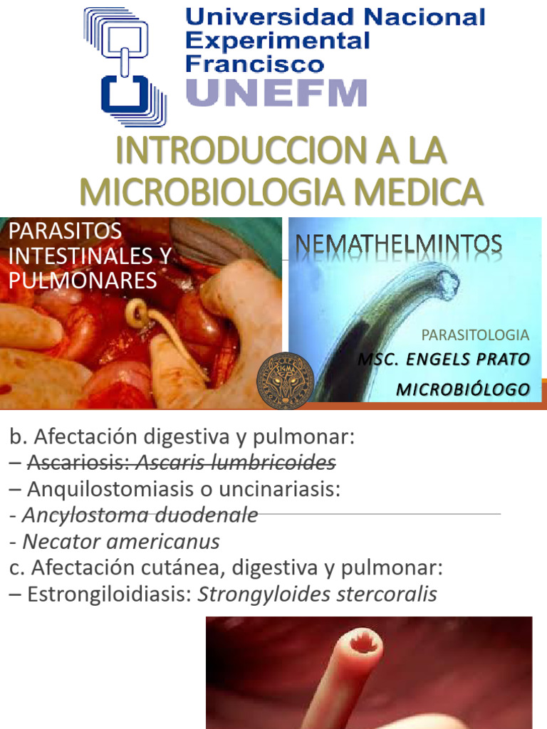 Clase 10 Intestinales y Pulmonares | PDF | Enfermedades y trastornos ...
