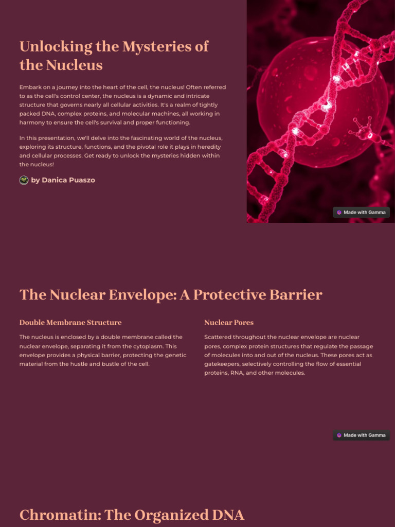 Exploring Nucleus Structure and Function | PDF