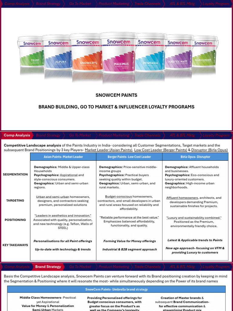 Snowcem Paints - Brand Building & Loyalty Program | PDF | Marketing | Brand