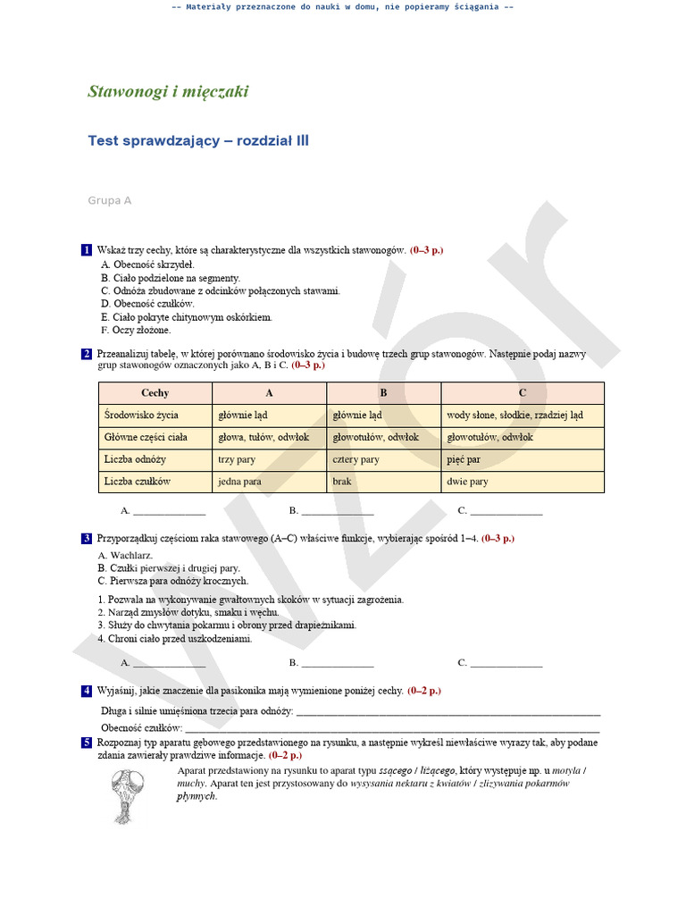 Biologia - Klasa 6 - Dział 3 - Sprawdzian | PDF