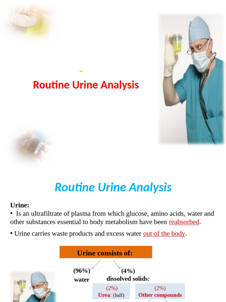 Mervat, Urinanalysis Edited 10-2023 | PDF | Urine | Kidney