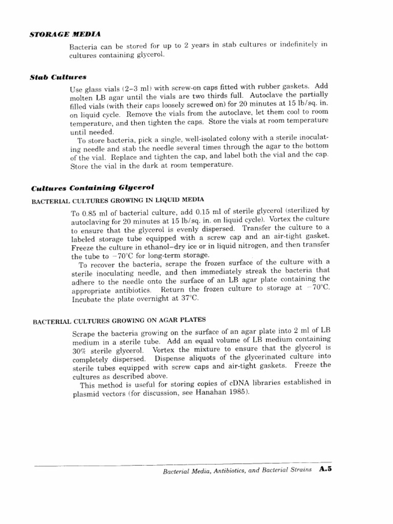 Storage Media Stab Cultures Bacterial Cultures Growing in Liquid Media ...