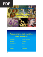 Anatomia e Reprodução do Polvo | PDF | Polvo