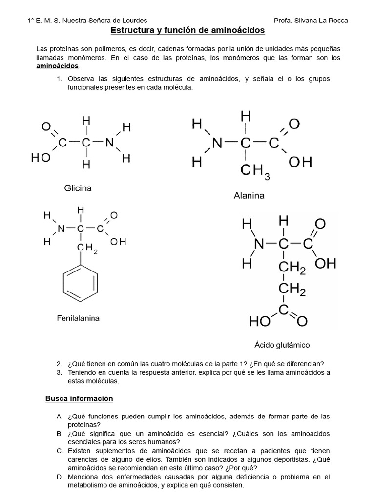 72966_Amino_cidos__p_ptidos_y_prote_nas_1__E._M._S.__NSL | PDF ...