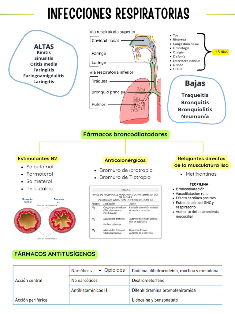 Infecciones Respiratorias - Bronquitis Aguda | PDF | Tos | Bronquitis