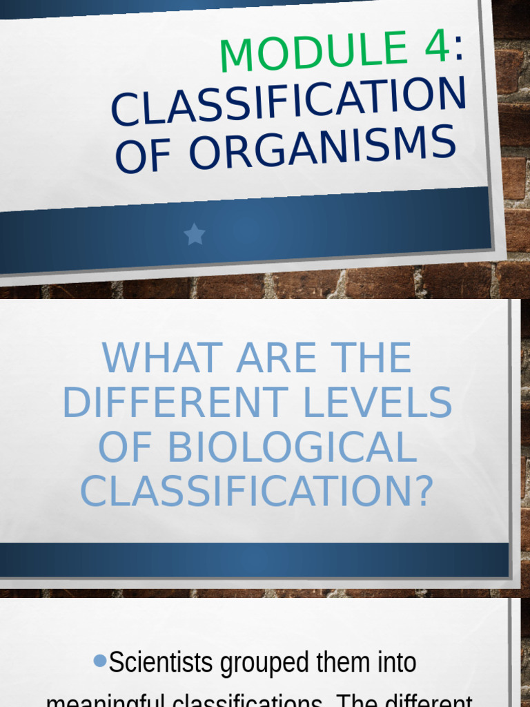 Module 4 Taxonomy | PDF