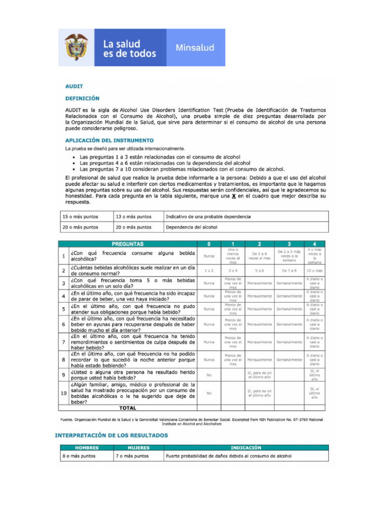 Test Audit | PDF
