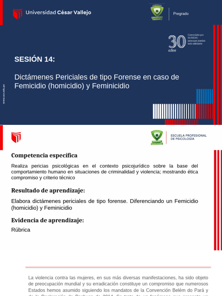 PPT14 | PDF | Mujer | Psicología Social