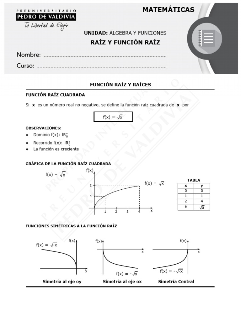 MT-10 RA_Z Y FUNCI_N RA_Z | PDF | Función (Matemáticas) | Cero de una función