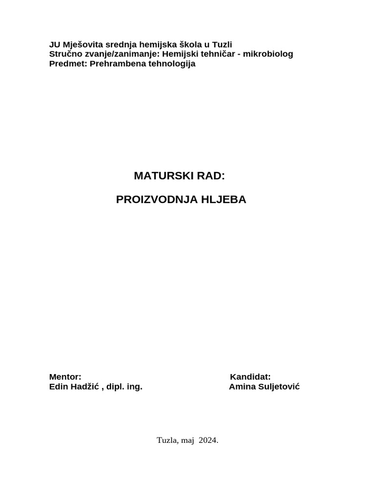 MATURSKI RAD - Amina Suljetović | PDF